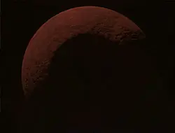 The Iris | Alien Species | Fandom