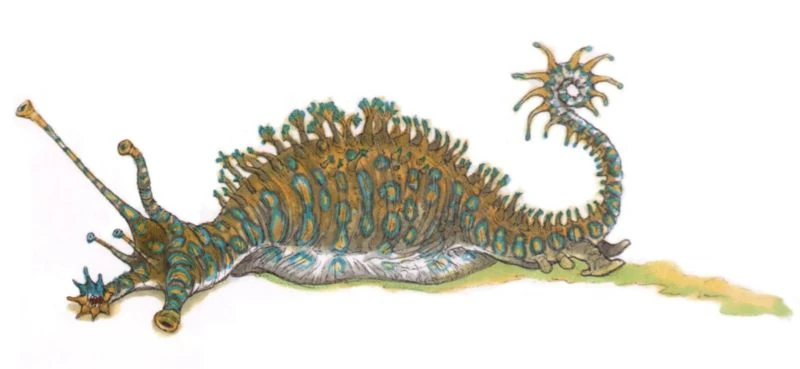 Granite Slug | Alien Species | Fandom