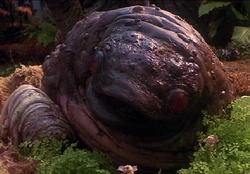 Nebrie | Alien Species | Fandom