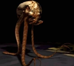 Na'ka'leen Feeder | Alien Species | Fandom