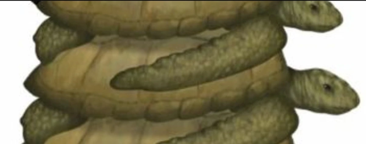 Turtle of Time | Alien Species | Fandom