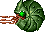 Oum | Alien Species | Fandom