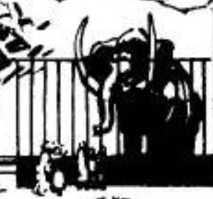 Sororian Pachyderm | Alien Species | Fandom