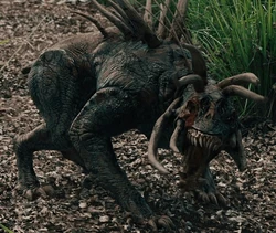 Hell-hound | Alien Species | Fandom