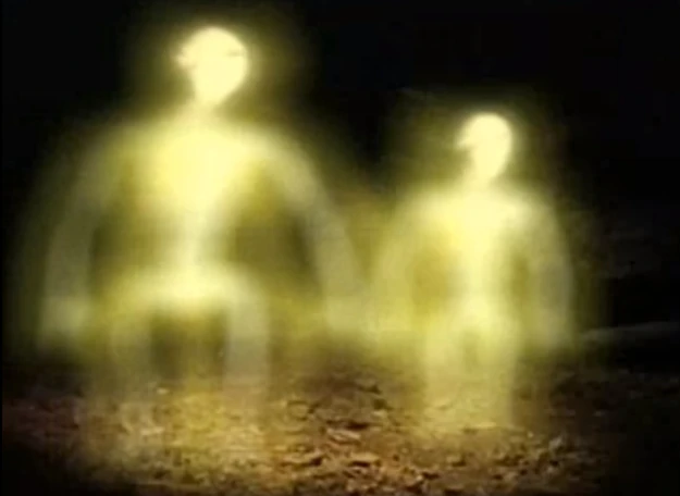 Category:Nickelodeon Universes | Alien Species | Fandom