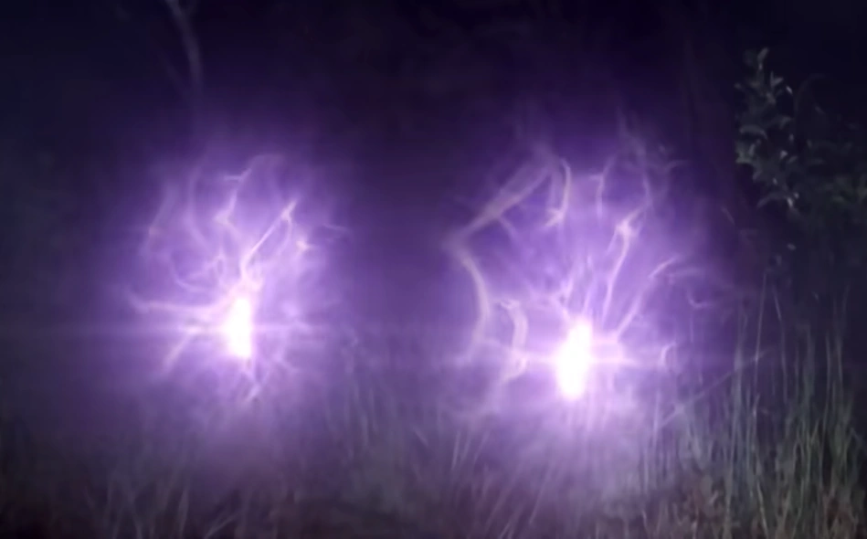 Category:Lightning Point Universe | Alien Species | Fandom