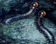 Mesklinite | Alien Species | Fandom