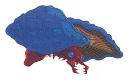 Waver | Alien Species | Fandom