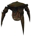 Headcrab | Alien Species | Fandom