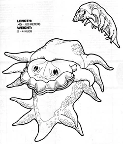 Aldebaran Shellmouth | Alien Species | Fandom