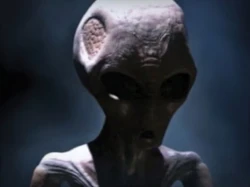 Grey (Dark Skies, 1996) | Alien Species | Fandom