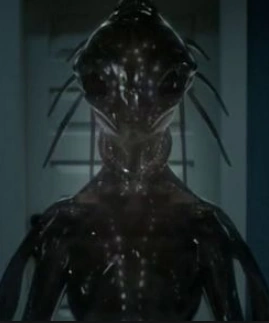 Dornia | Alien Species | Fandom