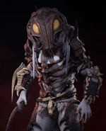 Yautja | Alien Species | Fandom