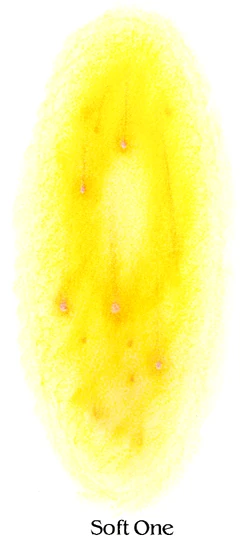 Soft One | Alien Species | Fandom