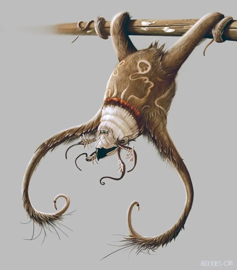 Eh'ern | Alien Species | Fandom