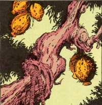 Silote Tree | Alien Species | Fandom