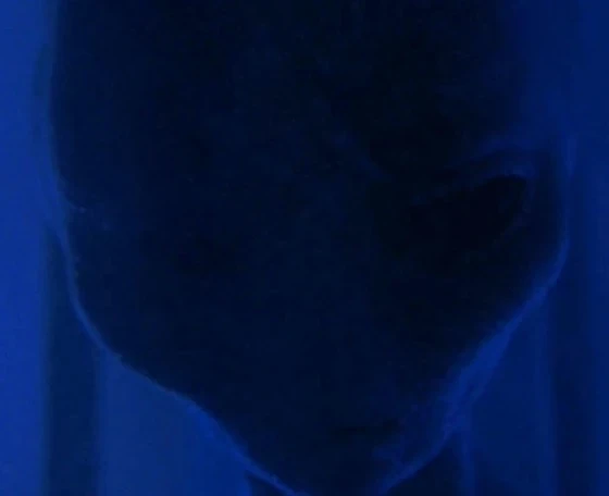 Colonist (The X-Files) | Alien Species | Fandom