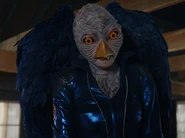 Blue Avian | Alien Species | Fandom
