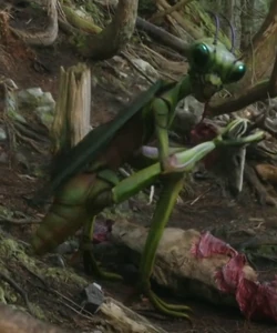 Mantid (Resident Alien) | Alien Species | Fandom