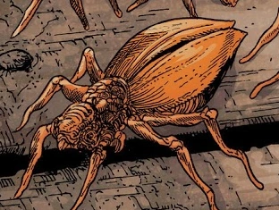 Zycha | Alien Species | Fandom