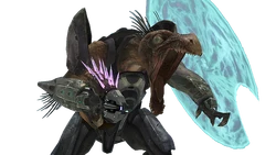 Ruuhtian | Alien Species | Fandom