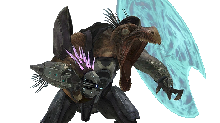 Ruuhtian | Alien Species | Fandom