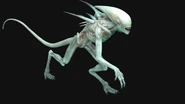 Neomorph | Alien Species | Fandom