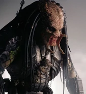 Yautja | Alien Species | Fandom