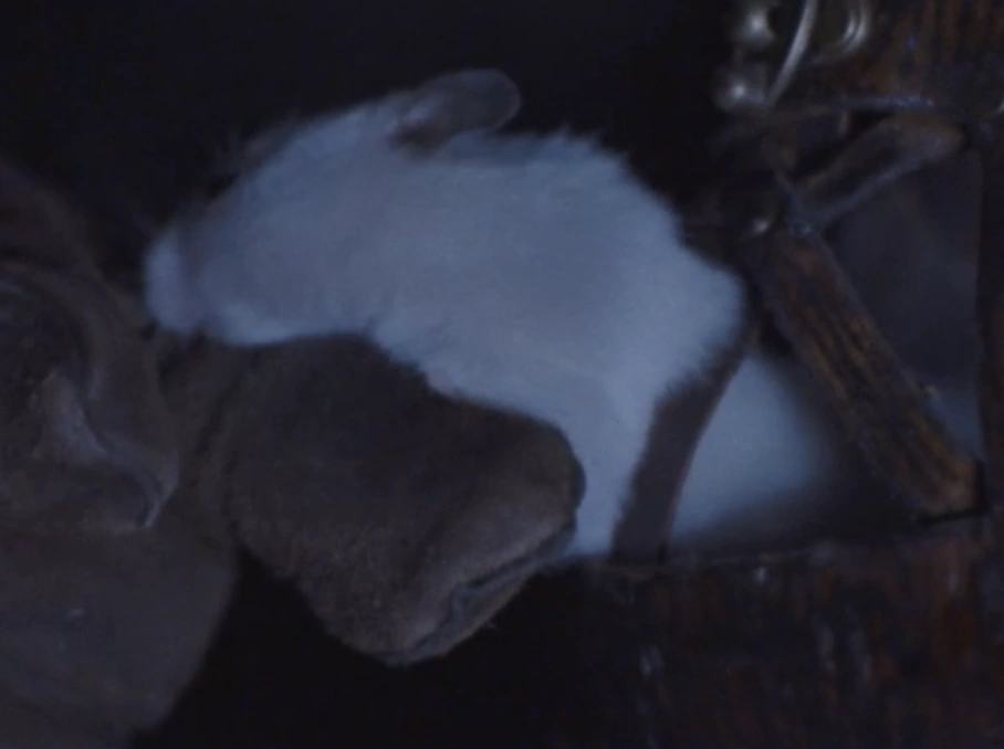 Demrel Rat | Alien Species | Fandom