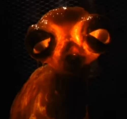 GAR's Species | Alien Species | Fandom