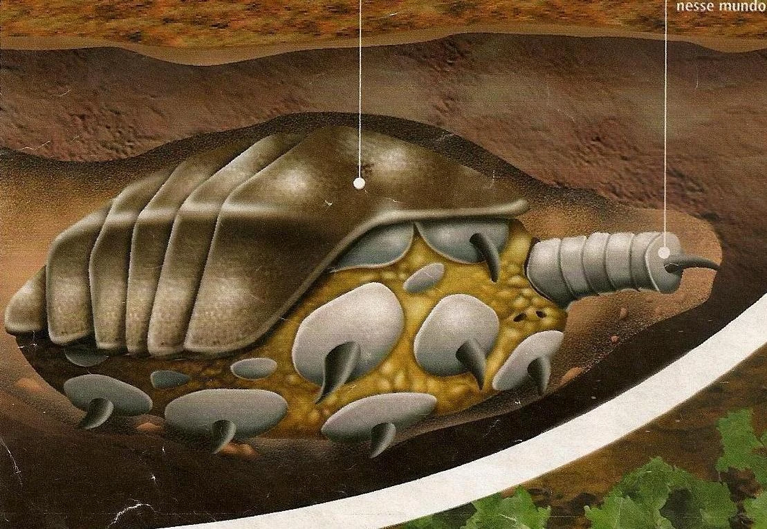 Venusian (Superinteressante) | Alien Species | Fandom