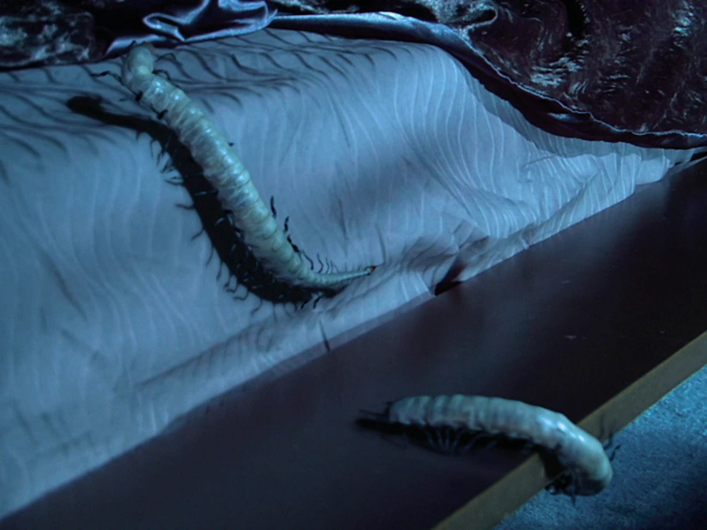 Category:Dagobah Wildlife | Alien Species | Fandom