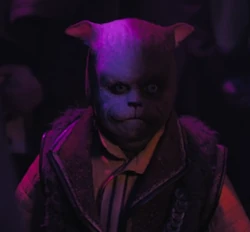 Tuk | Alien Species | Fandom