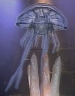 Sacul | Alien Species | Fandom