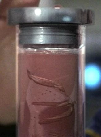 Immunocytic Gel Worm | Alien Species | Fandom