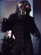 Allasomorph | Alien Species | Fandom