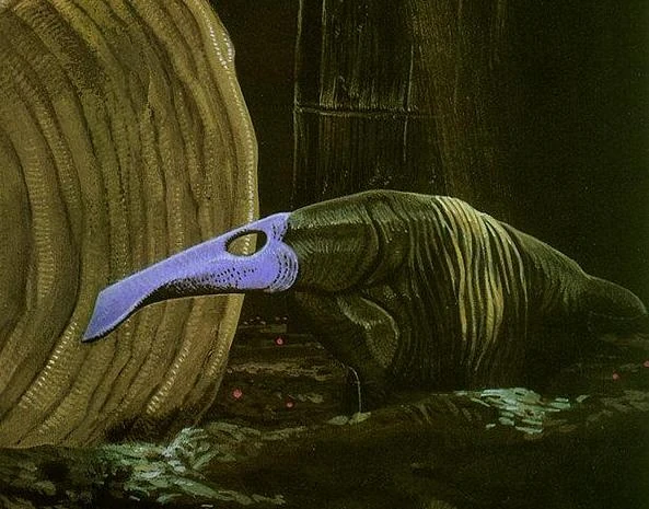 Spade-Nose | Alien Species | Fandom