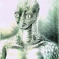 Different Types Of Aliens