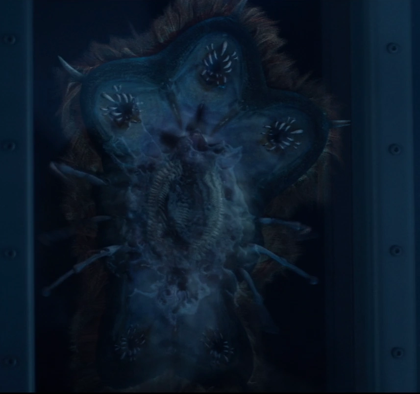 Mutant Tribble | Alien Species | Fandom