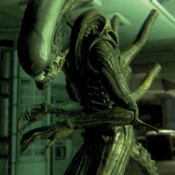 humanoid alien races github