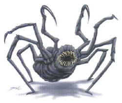 Talarian Hook Spider | Alien Species | Fandom