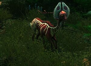 Hexapede | Alien Species | Fandom