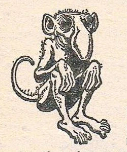 Murri | Alien Species | Fandom