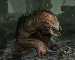 Crowbill Sloth | Alien Species | Fandom