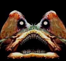 Frog (Iron Lung) | Alien Species | Fandom