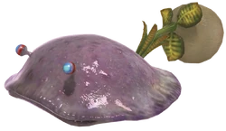 Toady Bloyster | Alien Species | Fandom