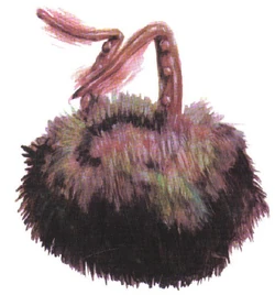 Circassian Cat | Alien Species | Fandom