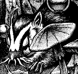 Zoog | Alien Species | Fandom