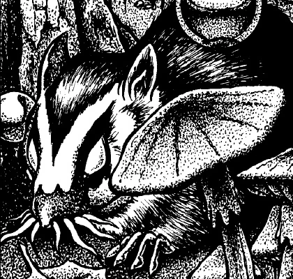 Zoog | Alien Species | Fandom