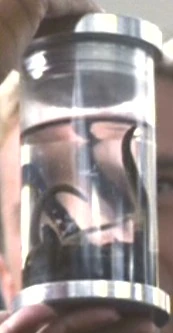 Aldebaran Mud Leech | Alien Species | Fandom